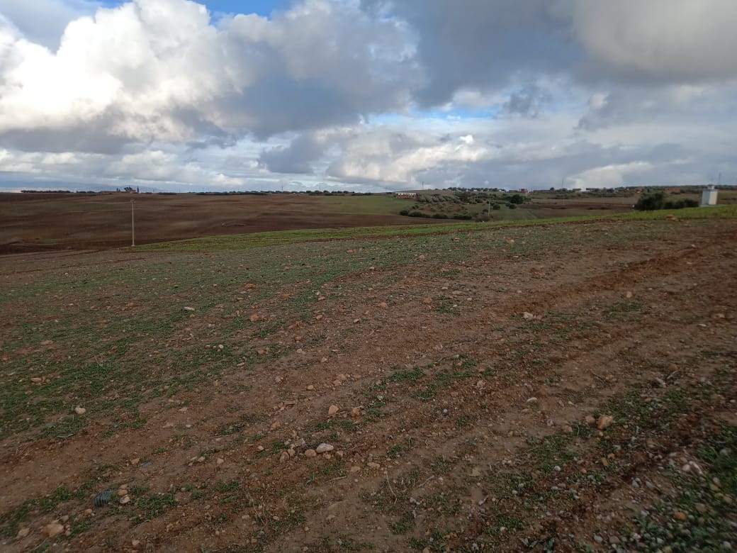 Terrain Titr De 6 Hectares Immobili re F s Terrain Titr De 6 Hectares Immobili re F s
