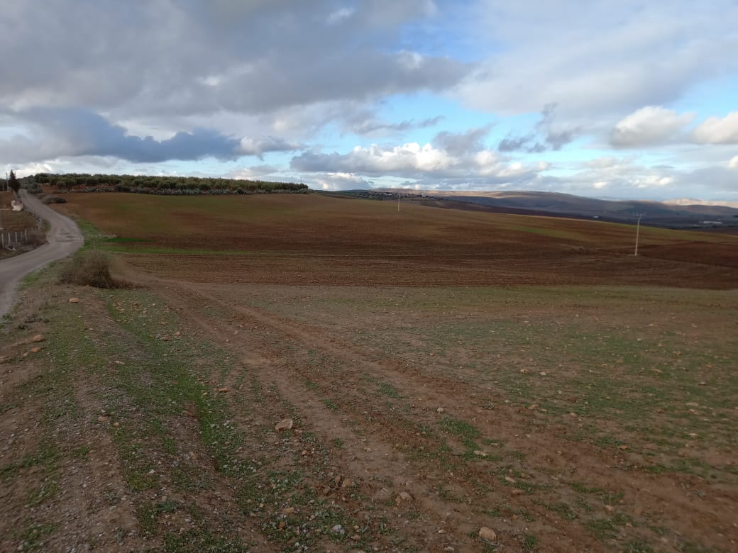 Terrain Titr De 6 Hectares Immobili re F s Terrain Titr De 6 Hectares Immobili re F s